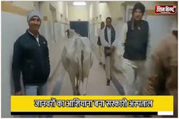 Hospital turned into shelter for stray animals - uttamhindu.com