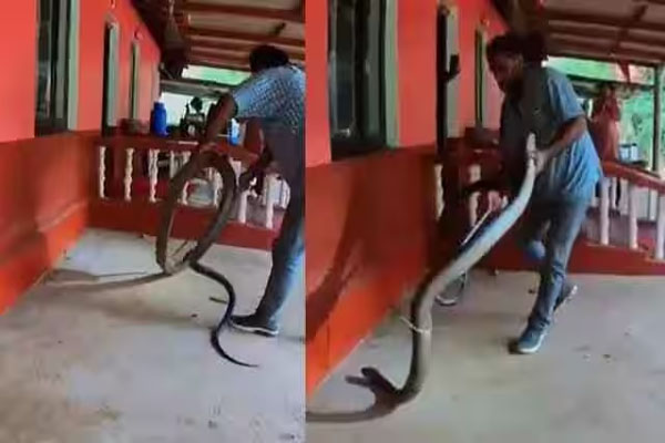 snake - uttamhindu.com