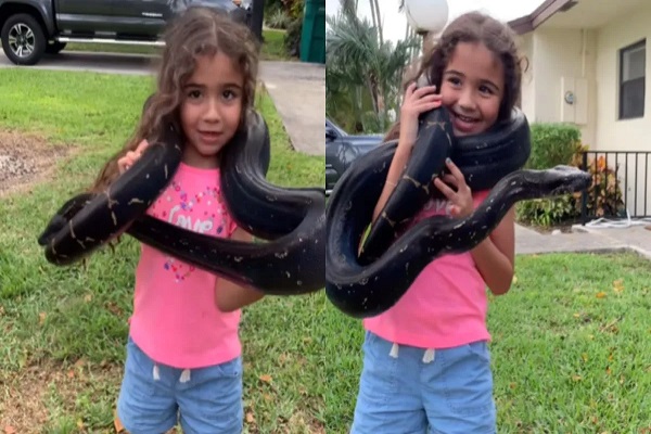 बच्ची की गर्दन में लिपटा विशालकाय सांप, VIDEO बना रहे मां-बाप को लोगों ने सुनाई खरी-खोटी ...